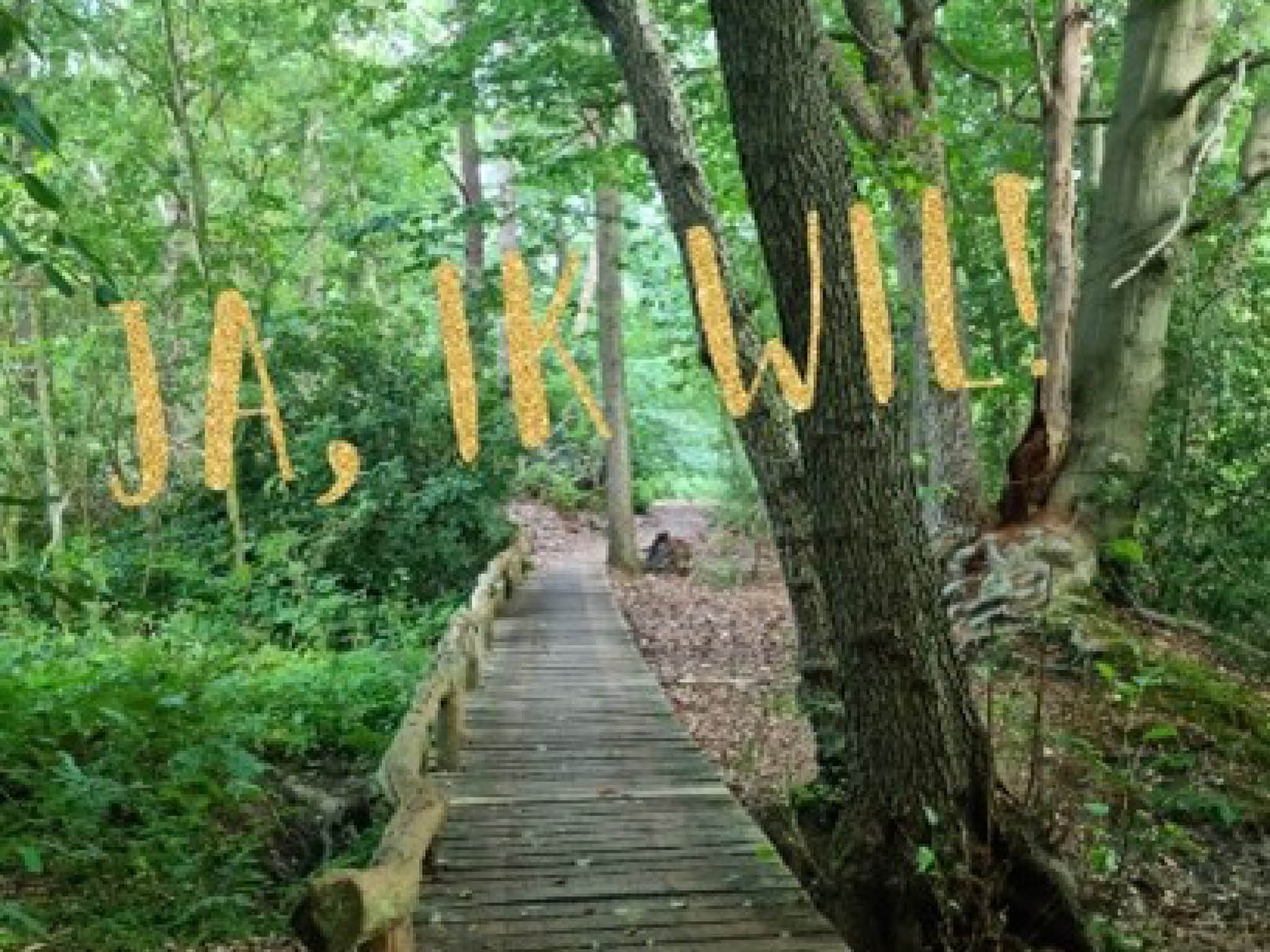 Praktijk Angelique | Workshop Ja Ik Wil